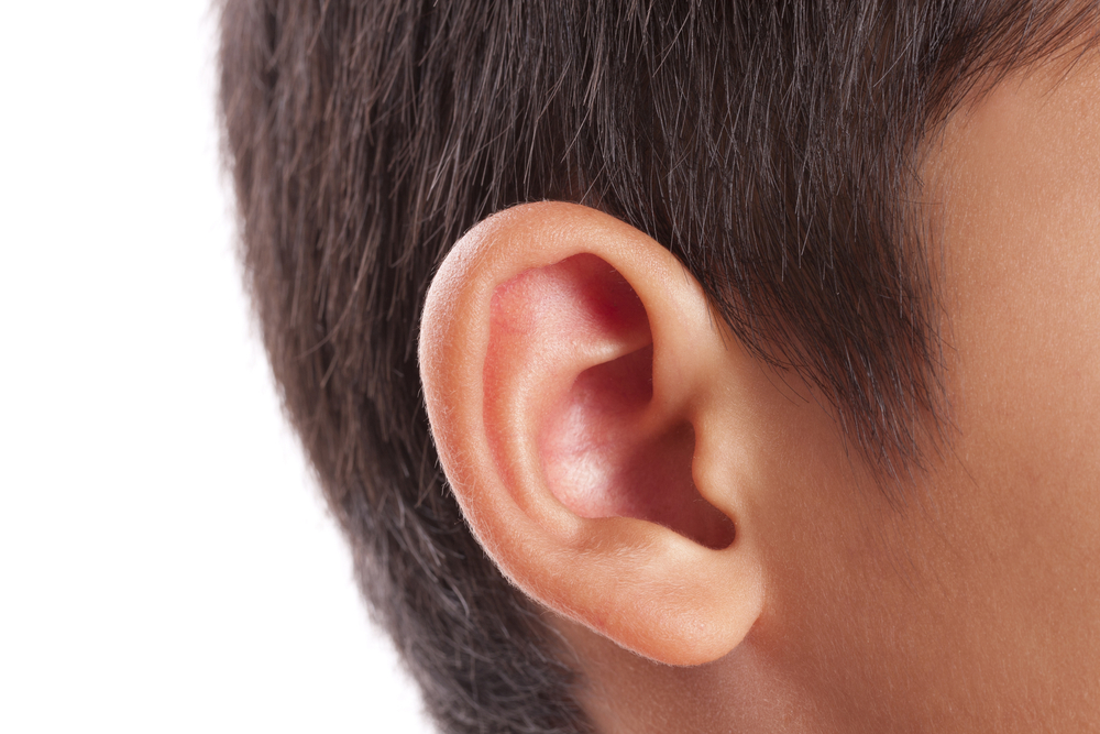 Ringing of the Ears - Can Physiotherapy Help? - North 49 Physical ...